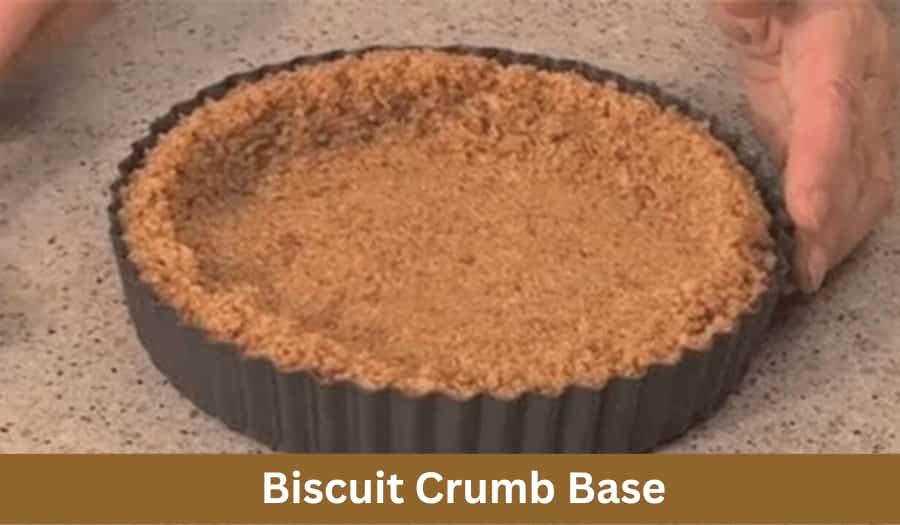 Buttery Biscuit Crumb Base Recipe 🍪 | Perfect Foundation for Desserts