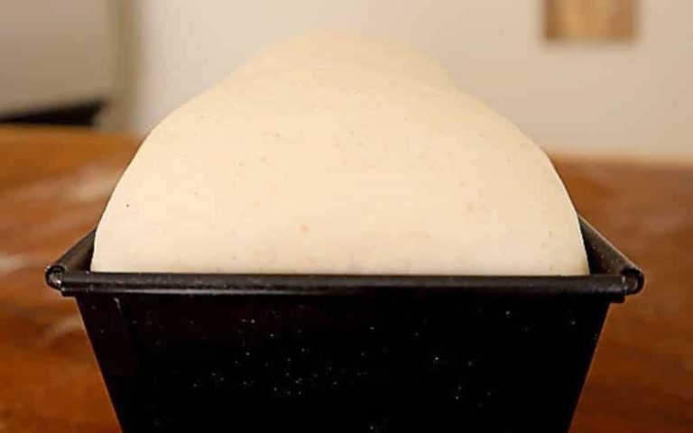 Bread Baking Basics: The Ultimate Guide to Perfectly Risen Bread Dough
