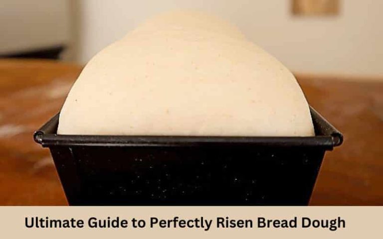 Bread Baking Basics: The Ultimate Guide to Perfectly Risen Bread Dough